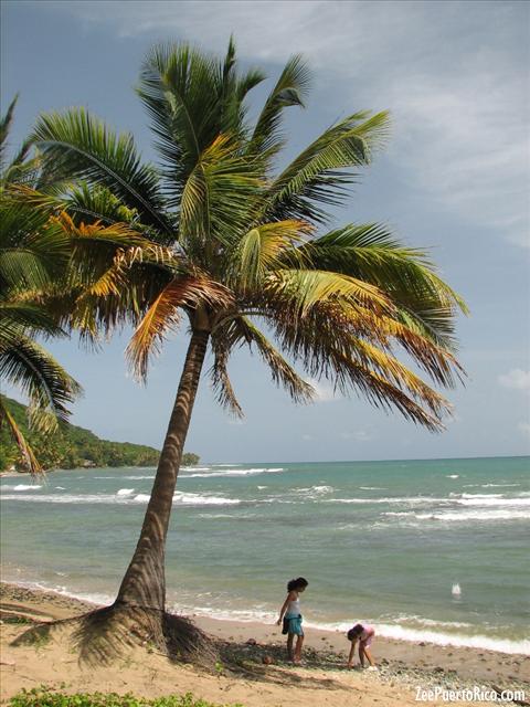 ZeePuertoRico.com - Mala Pascua Beach